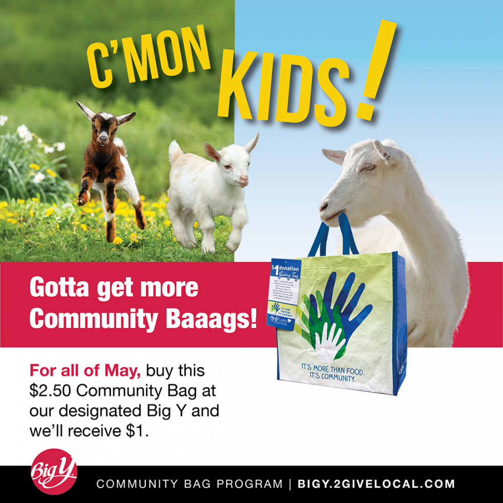 Bags that Give Back, Boys & Girls Club of the Lower Naugatuck Valley ...